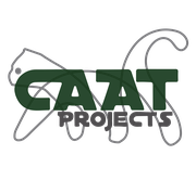 CAAT Projects - Girls Not Brides