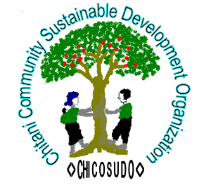 Chitani Community Sustainable Development Organization (CHICOSUDO ...