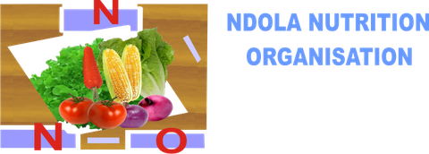Ndola Nutrition Organisation (NNO) - Girls Not Brides