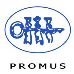 Asociación Promoción de la Mujer del Sur (PROMUS) - Girls Not Brides