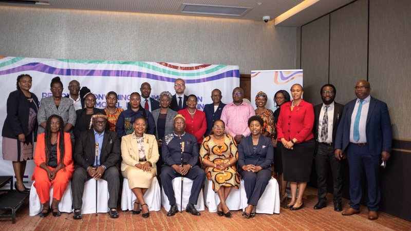 Reviewing progress on the SADC Model Law to end child marriage across ...